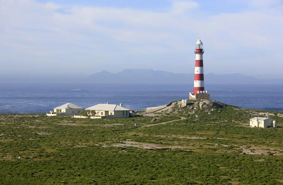 Dassen Island – Chance Heritage Trust