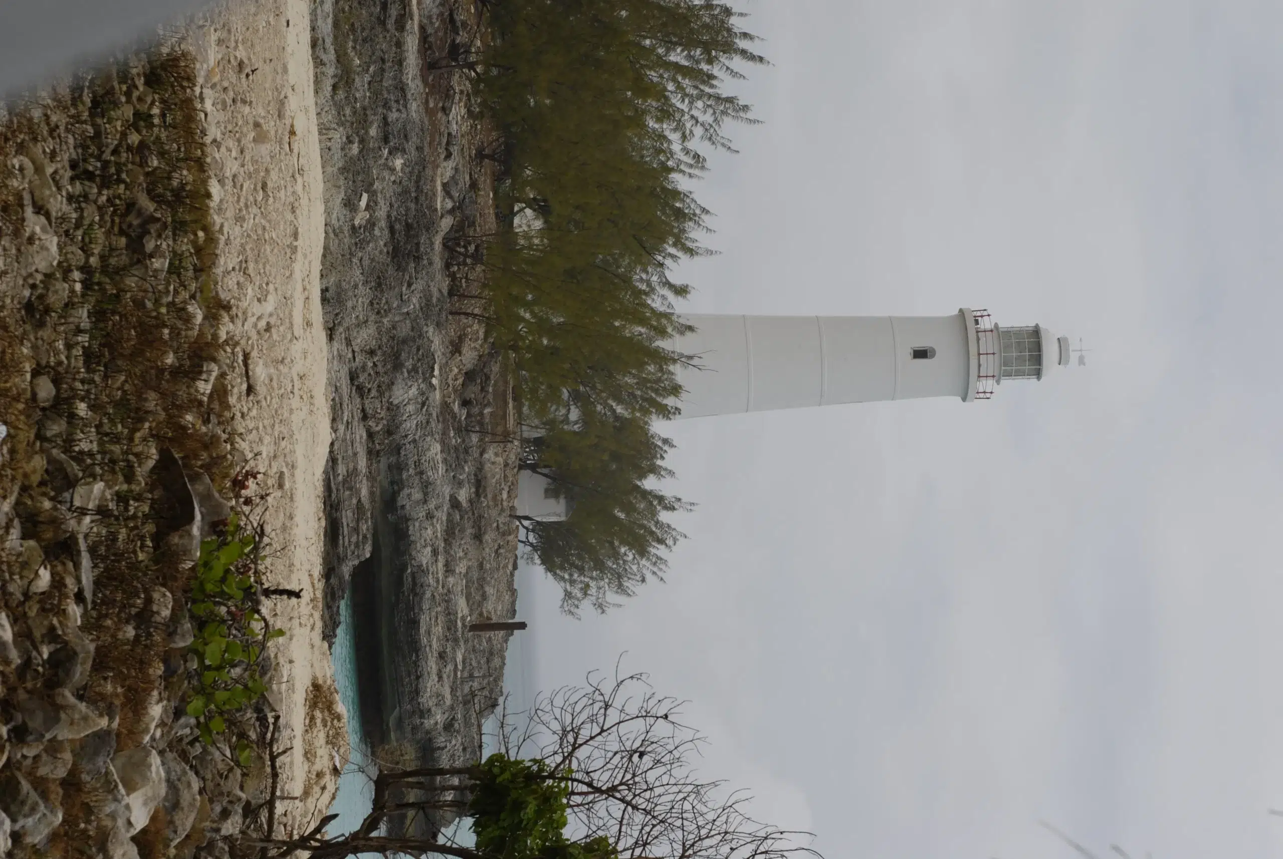 Great Inagua (Southwest Point) – Chance Heritage Trust